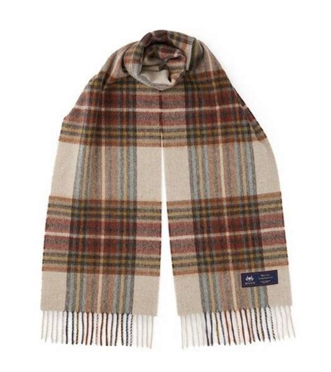 💛💛머플러 색깔 골라주고 가줘💛💛 인스티즈 Instiz 일상 카테고리