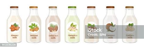 비건 너트 우유 병 식물 기반 식단을위한 대체 비 유제품 채식 음료 아몬드 캐슈 헤이즐넛 호두 및 코코넛의 건강한 유기농 유당이없는 우유 우유에 대한 스톡 벡터 아트 및