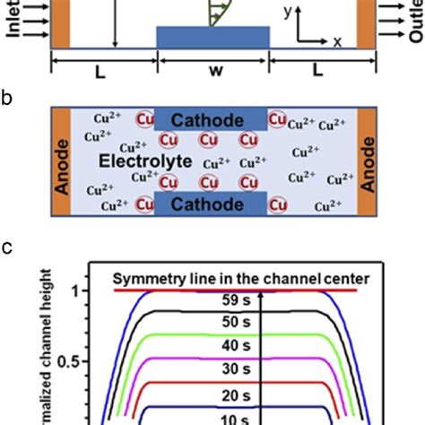 A The Schematic Diagram Of The Computational Geometry And The Download Scientific Diagram