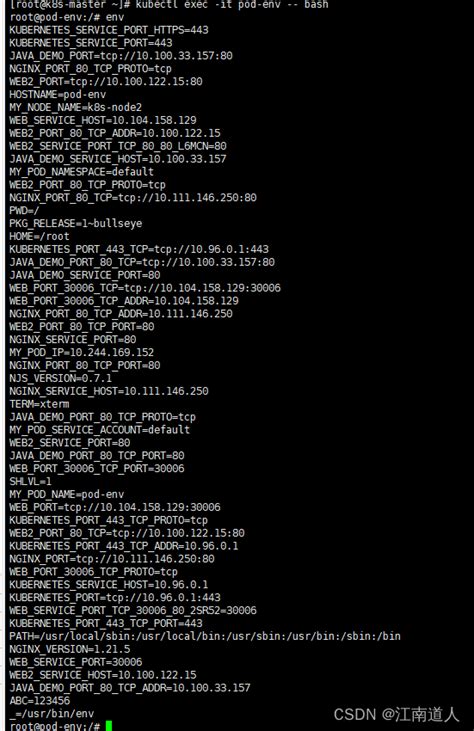 K8s中pod的环境变量，initcontainer初始化容器pod 环境变量类型 Csdn博客
