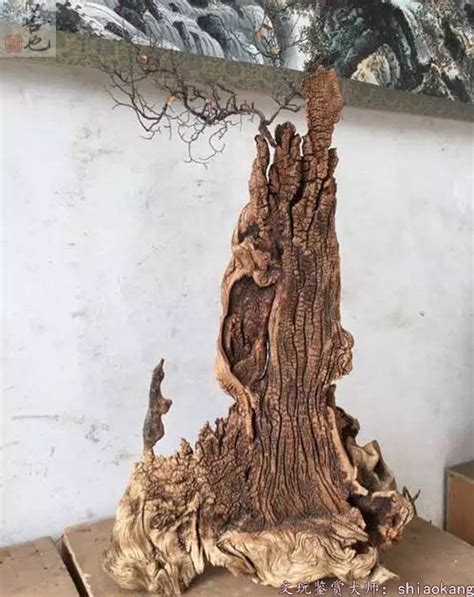 崖柏中的意境料意义深远 文玩资讯 善也堂太行崖柏根雕艺术馆