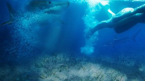 Watch Naked And Afraid Of Sharks Online Streaming DIRECTV