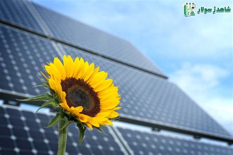 انواع کاربرد پنل های خورشیدی در مصارف خانگی و کشاورزی