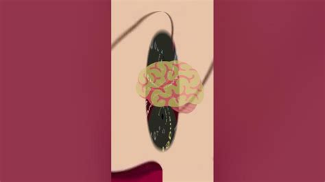 Software Engineers Dreams 👨‍💻😂 Memes Coding Programming Shorts Youtube