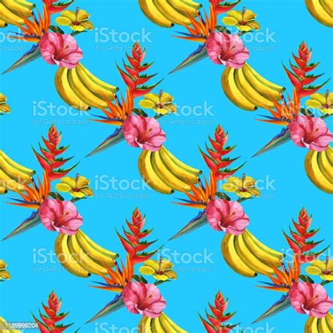 수채화 열대 이국적인 원활한 패턴입니다 손으로 그린 꽃 그림 0명에 대한 스톡 벡터 아트 및 기타 이미지 0명 꽃 식물 꽃무늬 Istock