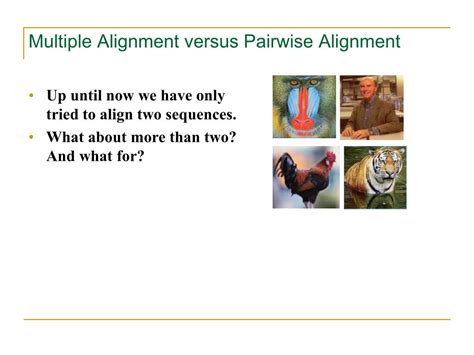 Ppt Multiple Alignment Powerpoint Presentation Free Download Id