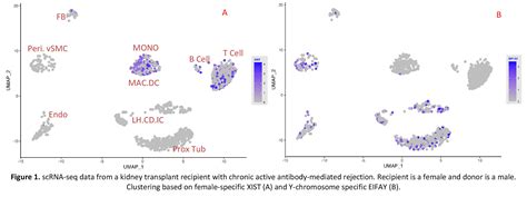 Evaluation Of Genotype Based Clustering Method Of Single Cell Rna