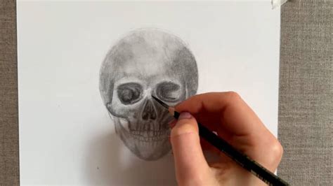 Skull Drawing Tutorial Fine Art Tutorials