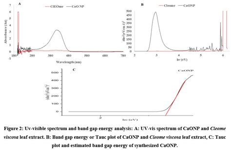 Biosynthesis Of Cao Nanoparticles Using Cleome Viscosa Leaf Extract And Investigation Of Their