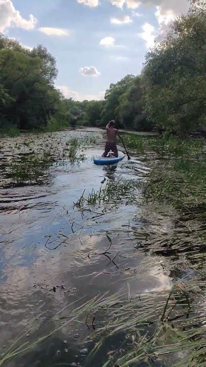 Сплав по реке на сапе сапборд природа Youtube
