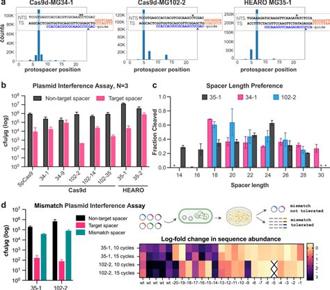 Cas9d And Hearo Enzymes Are Dsdna Nucleases A Histograms Of Cleavage