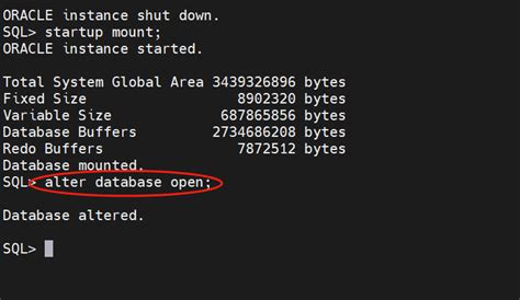 Oracle【容灾篇】02：oracle19c Adg 搭建步骤oracle Adg Csdn博客