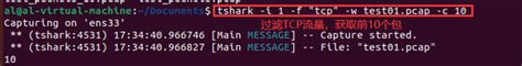 Tshark 和 Tcpdump 介绍和使用 知乎