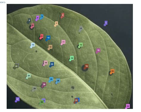 Question About Counting Spots On A Leaf In Mathematica Online