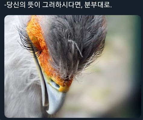 스압 뻔한데 뽕차는 소년 만화 클리셰 만화방 뀨잉넷 온세상 모든 웹코믹이 모이는 곳 Beautiful