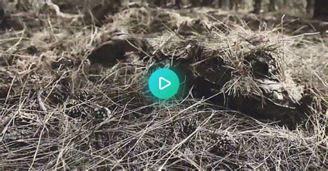 Trying To Leave Work Early  On Imgur