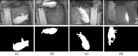 The General Segmented Results Of The Scale Groups In The Test Data A