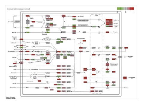 Kegg Pathview Analysis Of Molecular Signature Of Nlrp3 Inflammasome Download Scientific Diagram