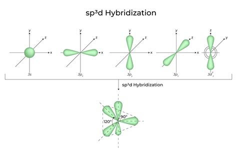 Hybridization Geeksforgeeks