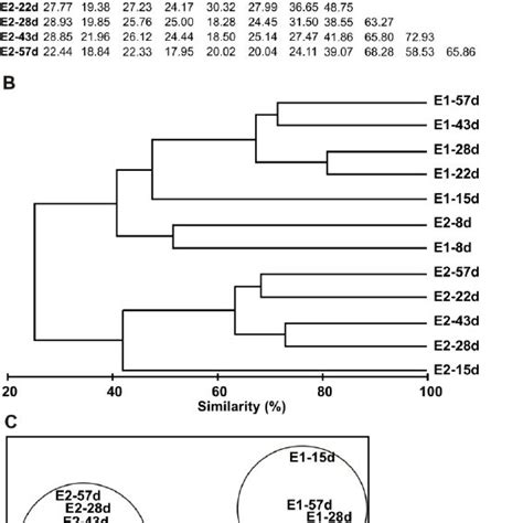 Similarity Matrix Calculated Using Bray Curtis Similarity Index A