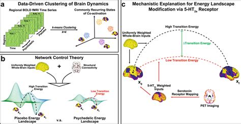 Mapping The Energy Landscape Of The Human Brain With Network Control Download Scientific