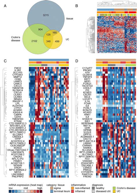 Hierarchical Clustering Of Genes Differentially Expressed In IBD