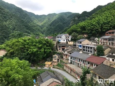 央广网：浙江绍兴、义乌农村闲置农房、宅基地改革唤醒沉睡的资产