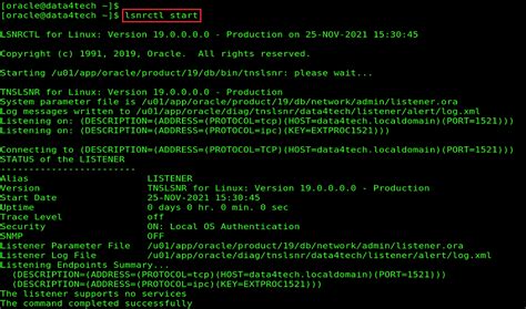 Installing Oracle 19c Single Instance Database Installing Oracle 19c Single Instance Database