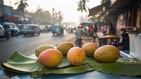 Cát Chu For Mango Lovers
