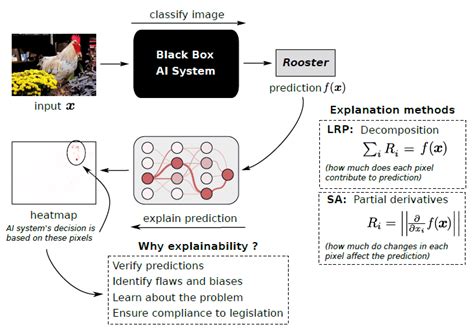 Explaining Predictions Of An Ai System Using Sa And Lrp Image Download Scientific Diagram