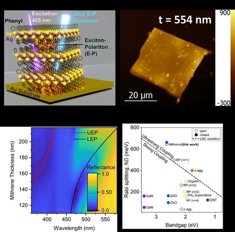 Self Hybridized Exciton Polaritons In Mithrene On Au Substrates A Download Scientific