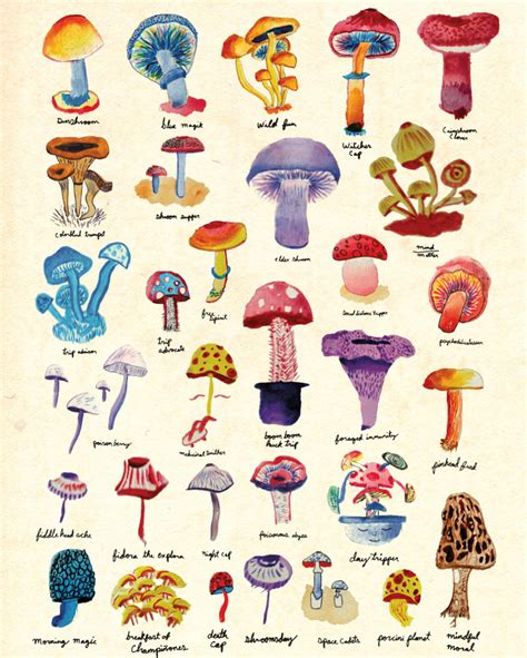 Mushroom Trip Drawings 60 Photos