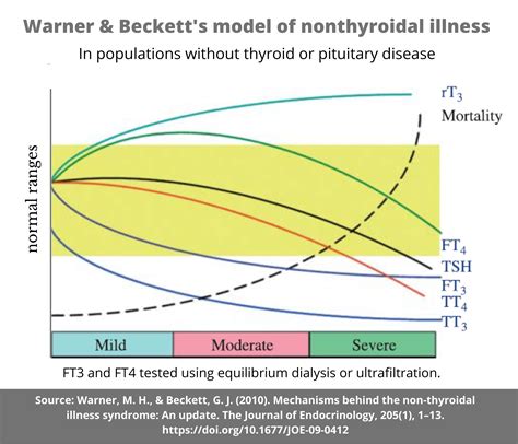 Whats Wrong With Calling Tsh Ft3 And Ft4 “thyroid Function Tests” Thyroid Patients Canada