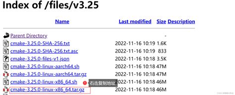 Linux安装或者升级cmake,例子为v3102升级到v3250自己指定版本linux 升级cmake Csdn博客 Linux安装或者升级cmake,例子为v3102升级到v3250自己指定版本linux 升级cmake Csdn博客