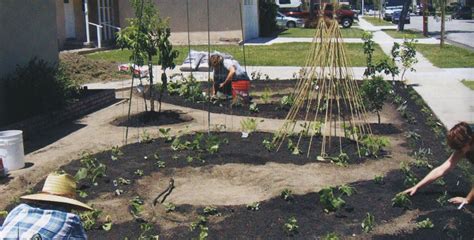 Soil Solutions To Climate Problems Permablitz Melbourne