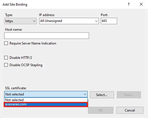 binding in windows iis 10