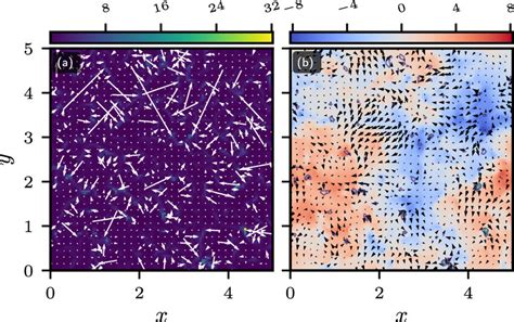 a streamlines of the polarization field px py of a slice in the download scientific