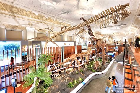 台北室內景點【土銀展示館】國立臺灣博物館古生物館～銅板價看巨大恐龍、逛神秘金庫 兔兒毛毛姊妹花
