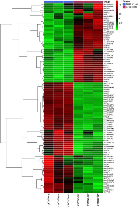 Heirarchical Clustering Analysis Of 96 Differentially Expressed Download Scientific Diagram