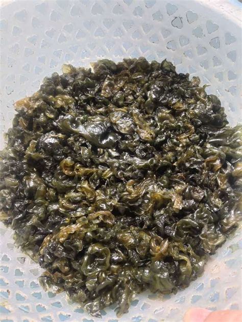 拾稻人 的想法 春天独有的美食，美食从田间到餐桌的变身 知乎