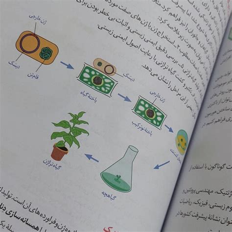 خرید و قیمت کتاب درسی وزارتی زیست شناسی دوازدهم تجربی چاپ 1402 رنگی