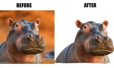 Do Photoshop Edits Background Removal Photo Colorization By