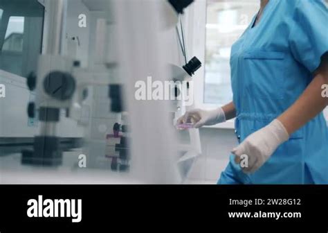 Artificial Insemination In A Modern Medical Laboratory A Person Works In Laboratory Performing
