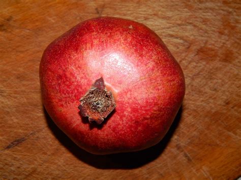 무료 이미지 사육제 식품 팬케이크 제전 간식 호박 휴일 전통적인 조류 도너츠 여자들 단 파티 식사 맛있는 디저트 거리 요리 촌사람 같은