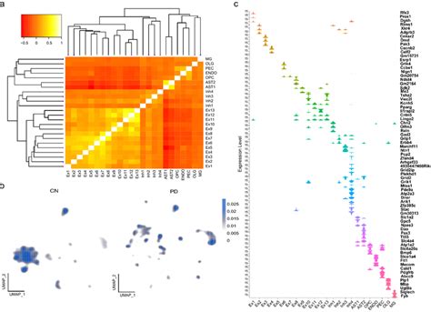 Fig S2 Cell Type Marker Genes And Assignments A Confusion Matrix