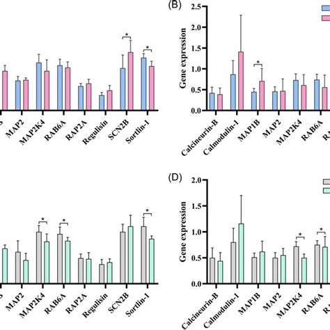 Expression Of Aging‐related Genes In Sam‐p8 Mice A Gene Expression