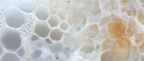 Explore The Intricate Texture Of Honeycomb With Its Hexagonal Cells And Waxy Structure Stock