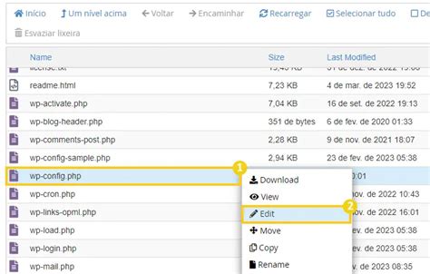 Erro WordPress Sem permissão para enviar esse tipo de arquivo