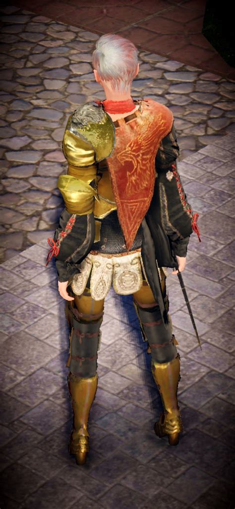 자유게시판 자렛의 갑옷 의상 길드 펌 검은사막 Mobile 공식 홈페이지