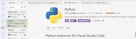 Vs Code终端中python选择解释器interpreter报错解决方式python脚本之家